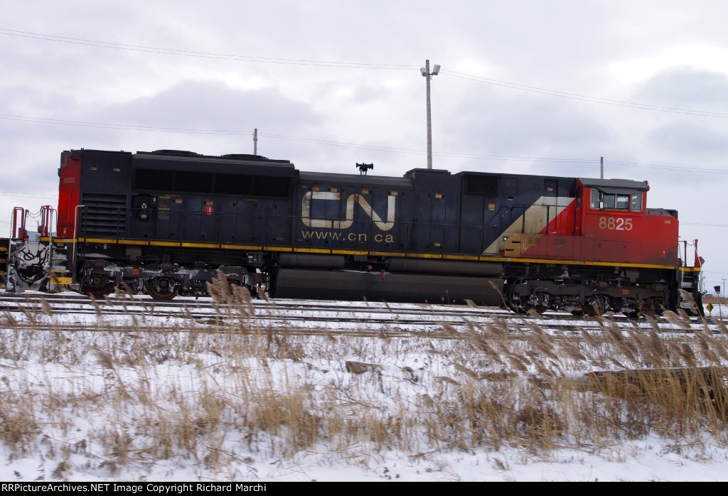 CN 8825